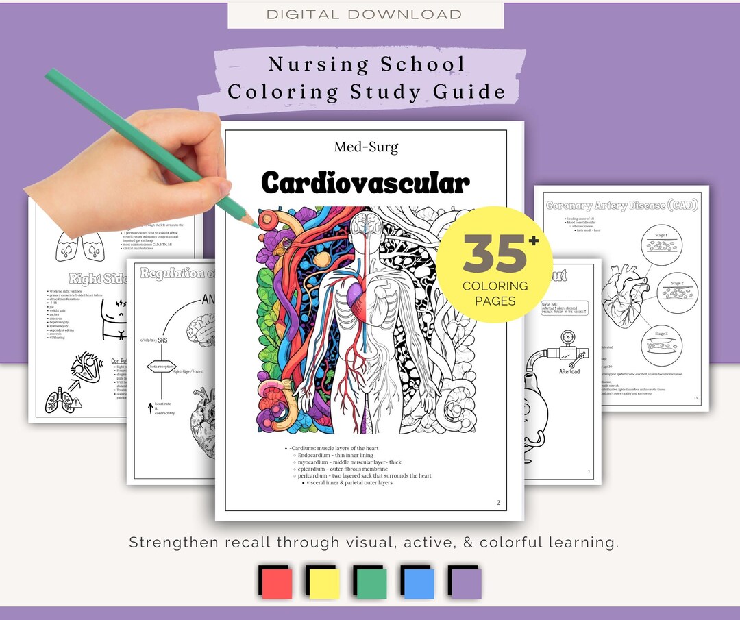 Cardiovascular Coloring Study Guide | Nursing Student Printable Notes ...