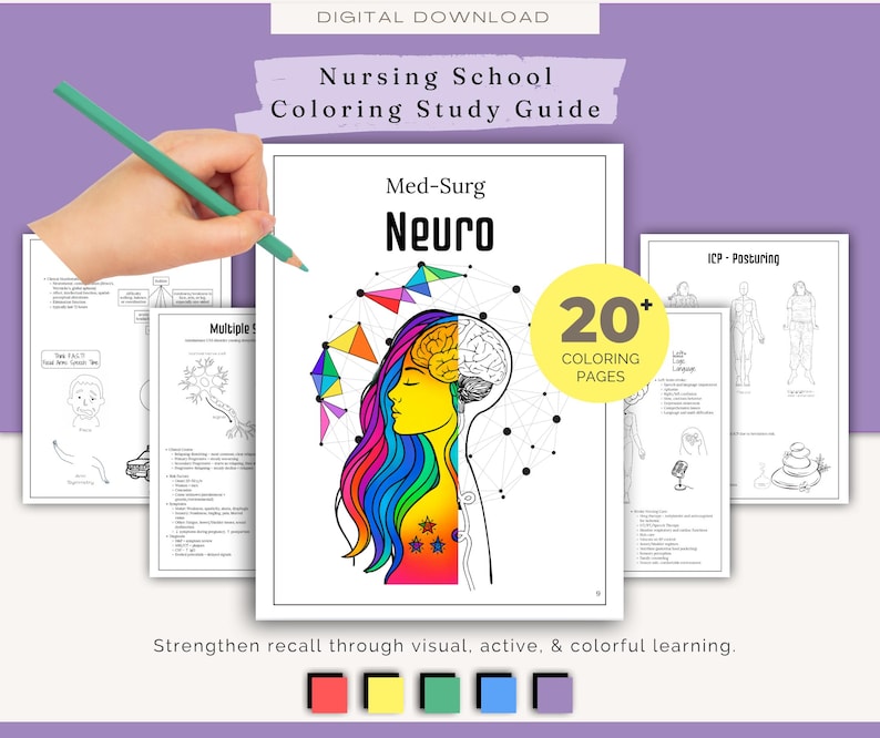 Neuro Coloring Study Guide | Nursing Student Printable Notes - Etsy
