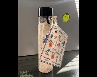 I SPY Bottle I Spy Trinkets Speech Therapy Sensory Bottle I Spy Game ...