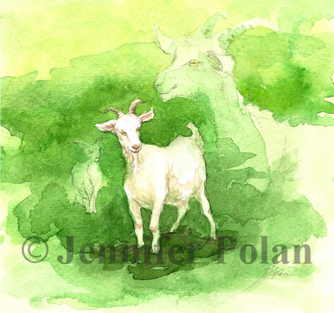 Set of 6 Smiley Goat Cards - Etsy