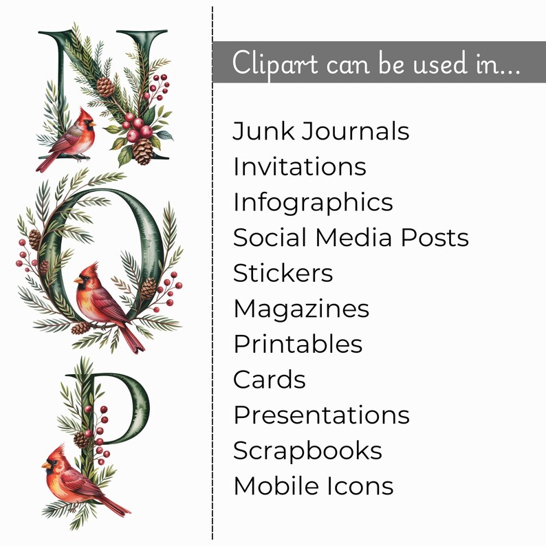 Red Cardinal Winter Alphabet PNG SVG Bundle | 100+ Christmas Letters - Etsy