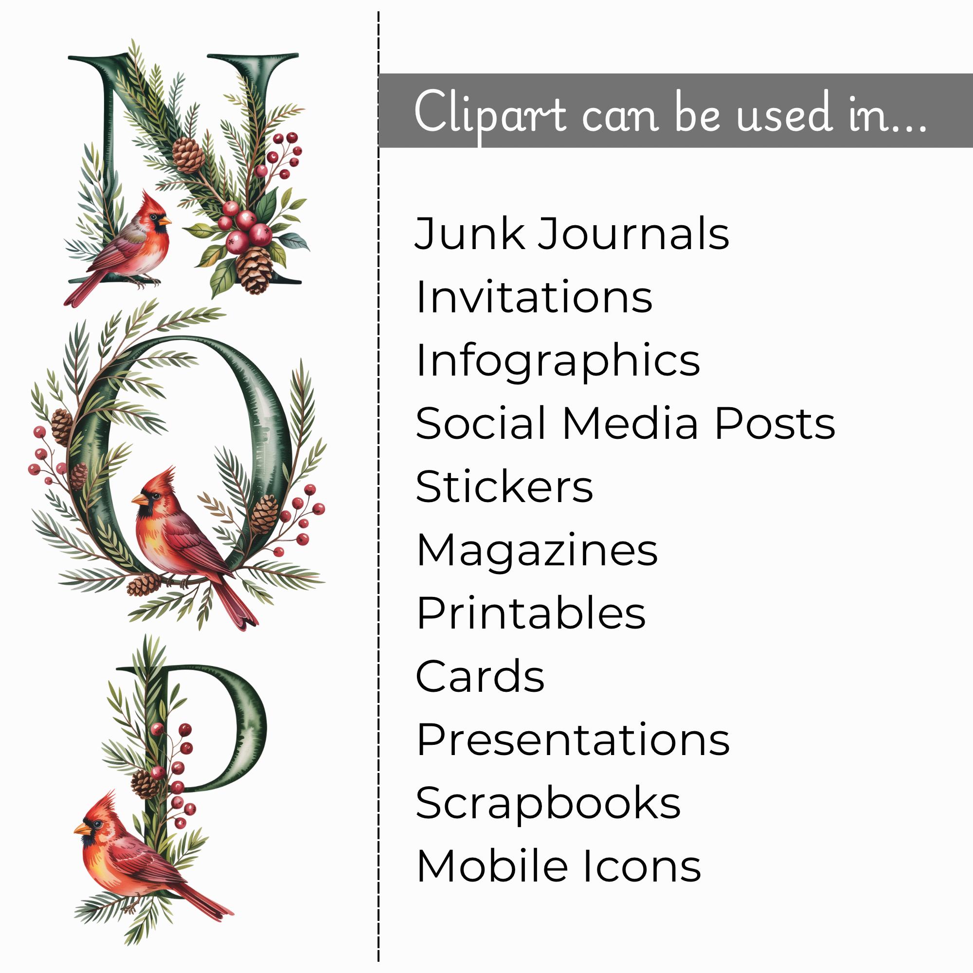 Red Cardinal Winter Alphabet PNG SVG Bundle | 100+ Christmas Letters - Etsy
