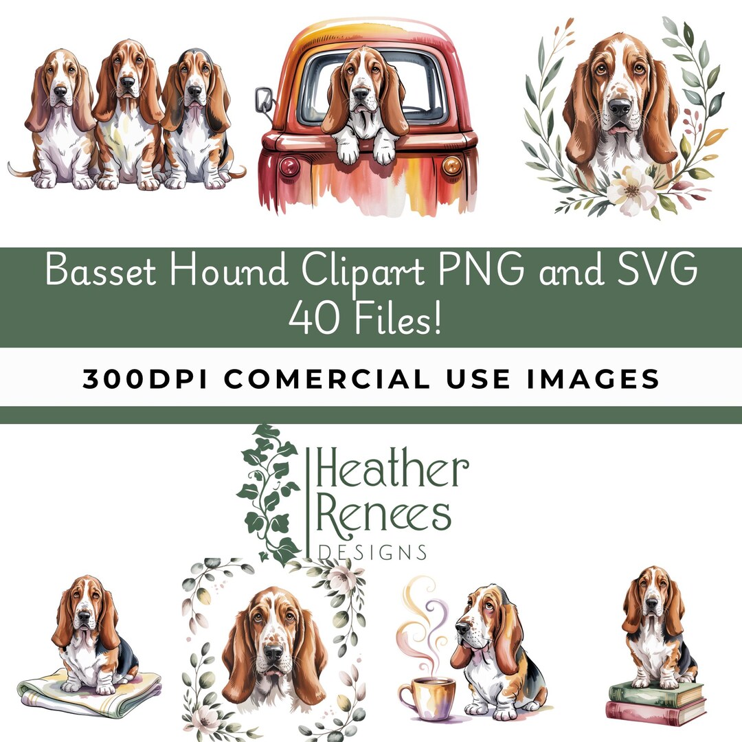 Basset Hound Clipart Bundle, Dog PNG SVG, Cute Basset Art, Watercolor ...