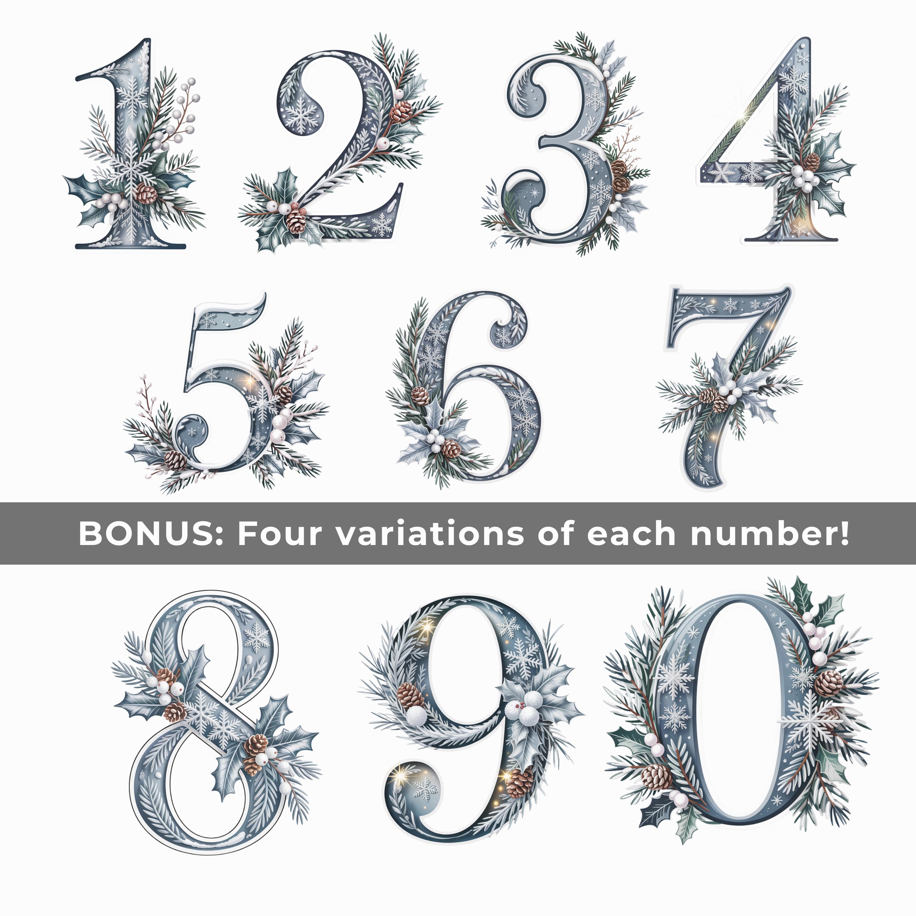 Silver Winter Alphabet Clipart, PNG SVG Letters Numbers, Winter Floral ...