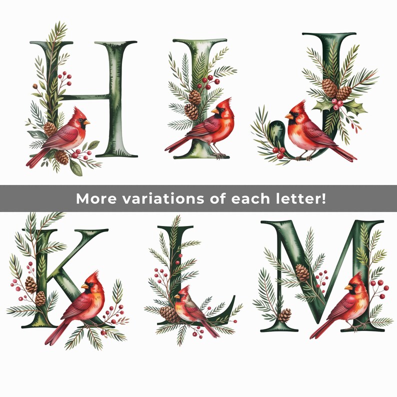 Red Cardinal Winter Alphabet PNG SVG Bundle | 100+ Christmas Letters - Etsy