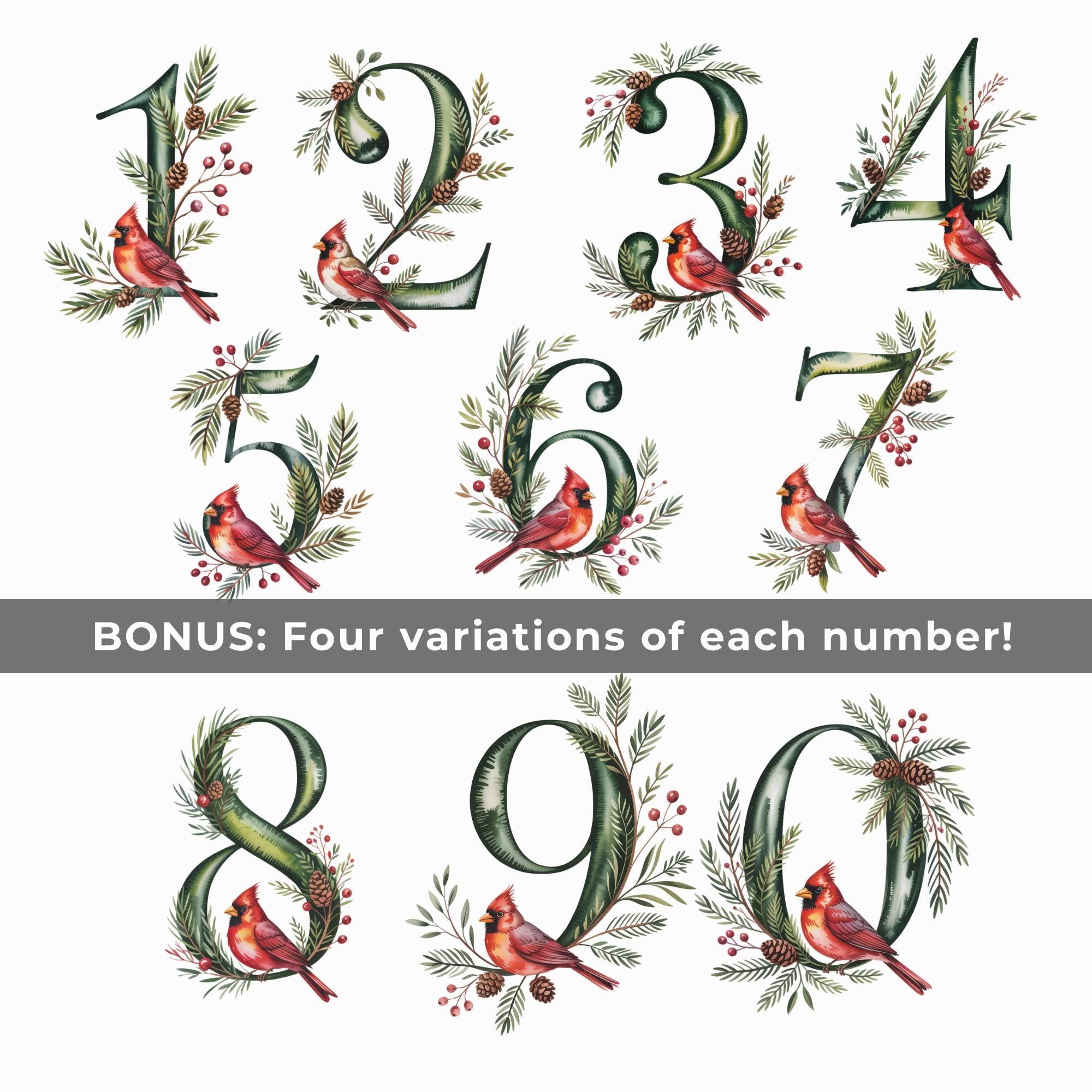Red Cardinal Winter Alphabet PNG SVG Bundle | 100+ Christmas Letters - Etsy
