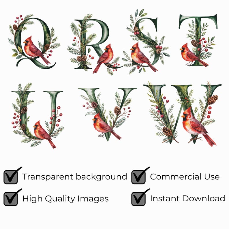 Red Cardinal Winter Alphabet PNG SVG Bundle | 100+ Christmas Letters - Etsy
