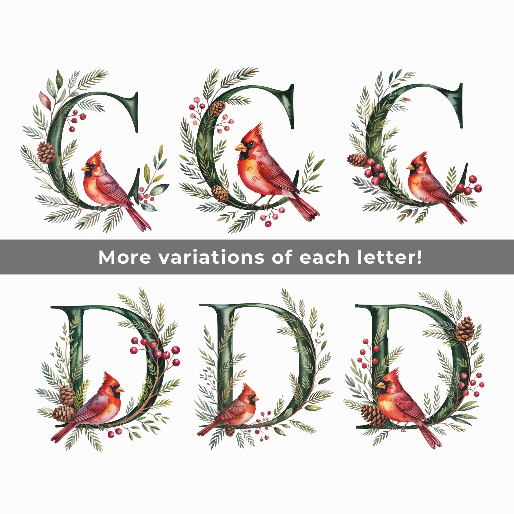 Red Cardinal Winter Alphabet PNG SVG Bundle | 100+ Christmas Letters - Etsy