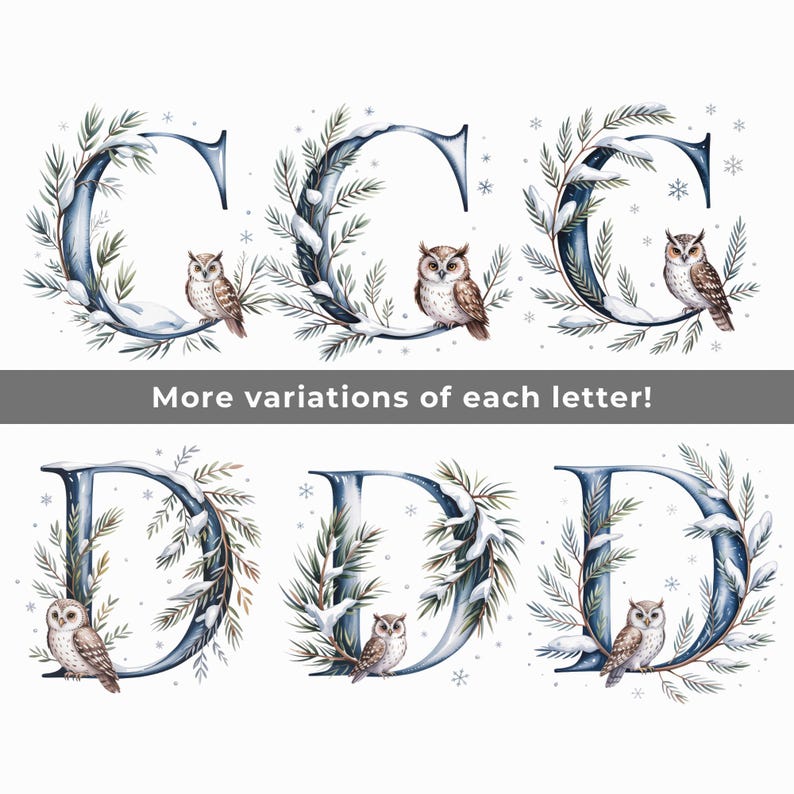 Owl Winter Alphabet Clipart, Snowflake Letters, PNG SVG Bundle - Etsy