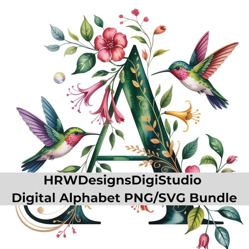 Hummingbird Watercolor Alphabet PNG SVG, Floral Letter Clipart ...