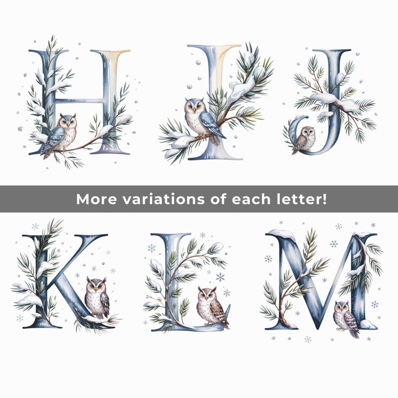 Owl Winter Alphabet Clipart, Snowflake Letters, PNG SVG Bundle - Etsy