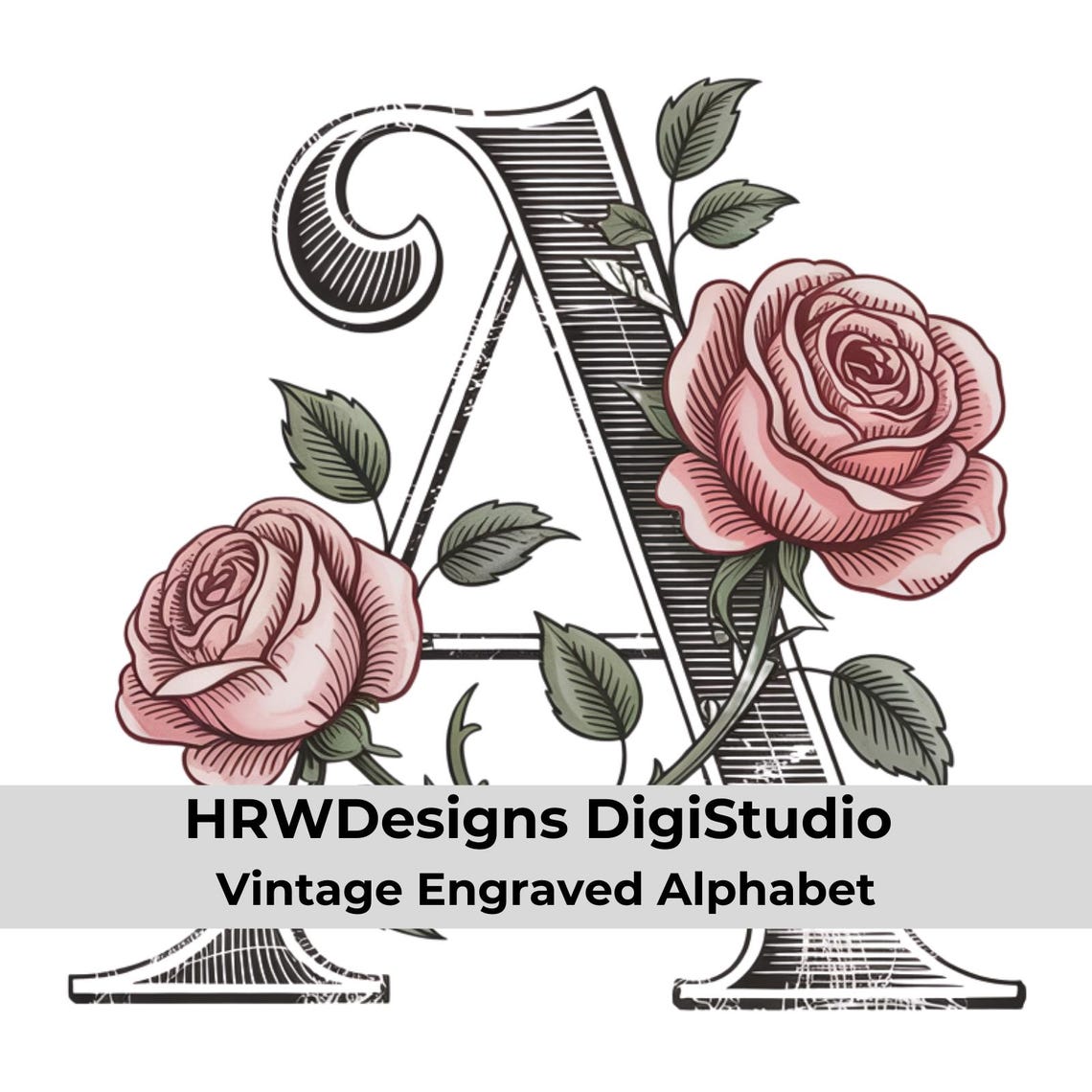 Gothic Rose Alphabet Clipart, Dark Vintage Engraved Letters PNG SVG ...