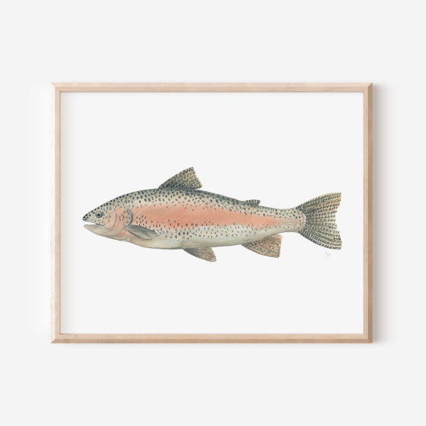 Rainbow Trout Art - Etsy