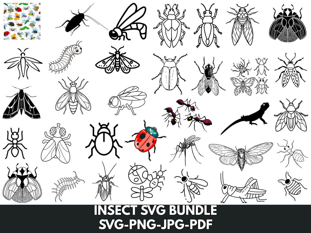 Insect SVG Bundle: Clipart, Silhouette Cut Files (digital Download) - Etsy