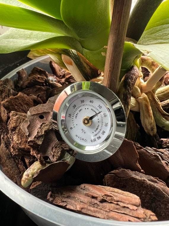 Hygrometer humidity gauge store