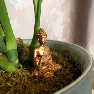 Tiny Buddha Figurine for Terrarium • Mossarium Buddha • Moss Garden ...