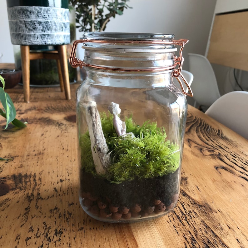 Small Starter Terrarium Kit Build Your Own Moss Terrarium | Etsy