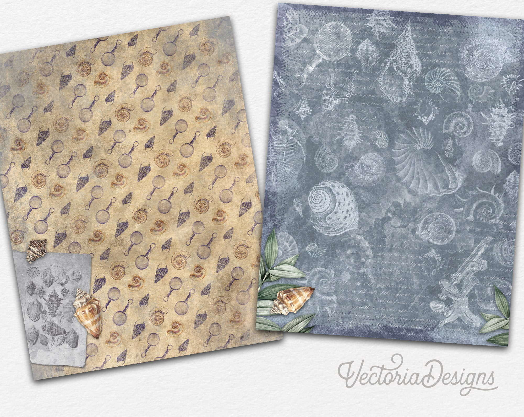 Curious Fossils Digital Paper Pack Vintage Ephemera Sheets - Etsy