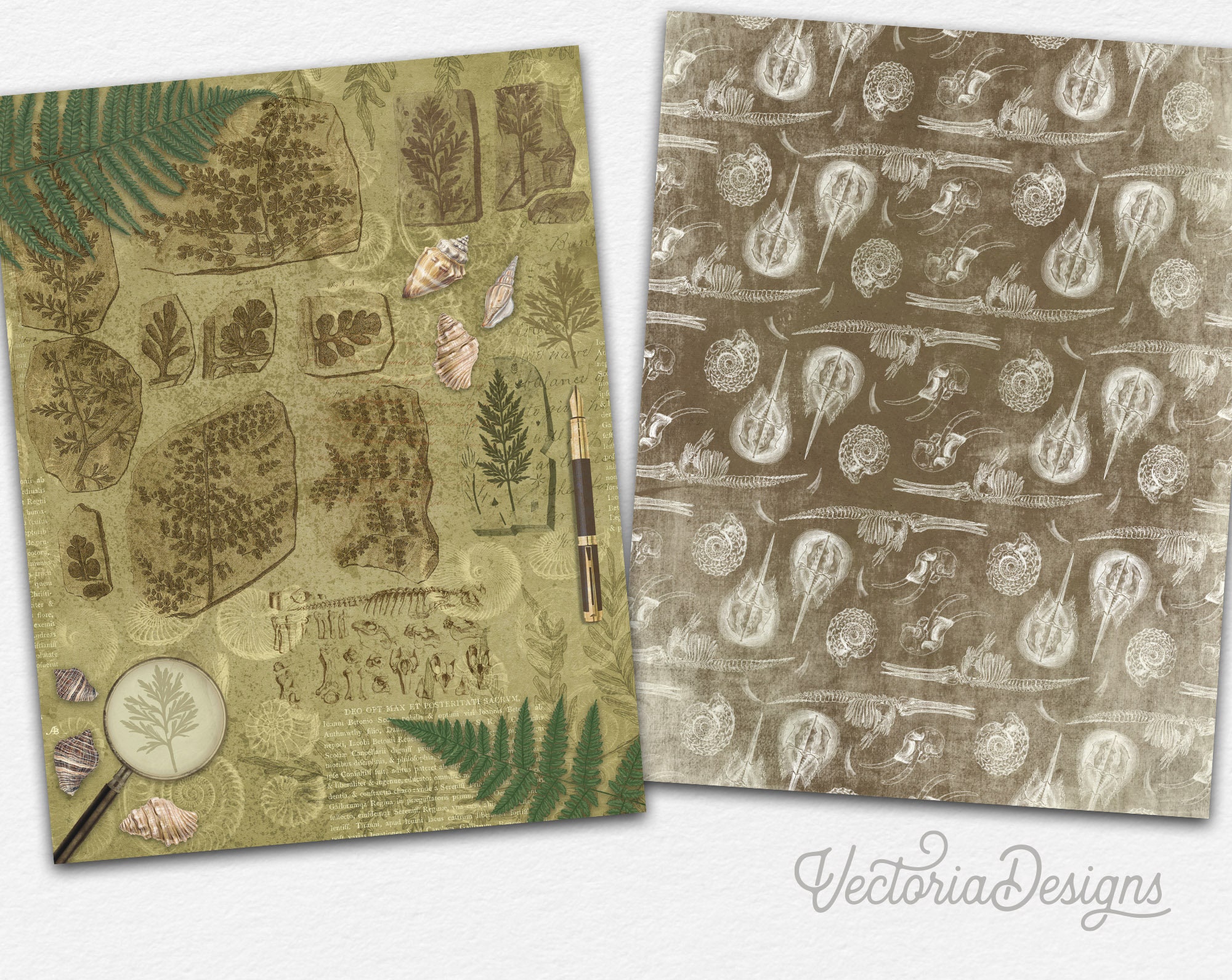 Curious Fossils Digital Paper Pack Vintage Ephemera Sheets - Etsy