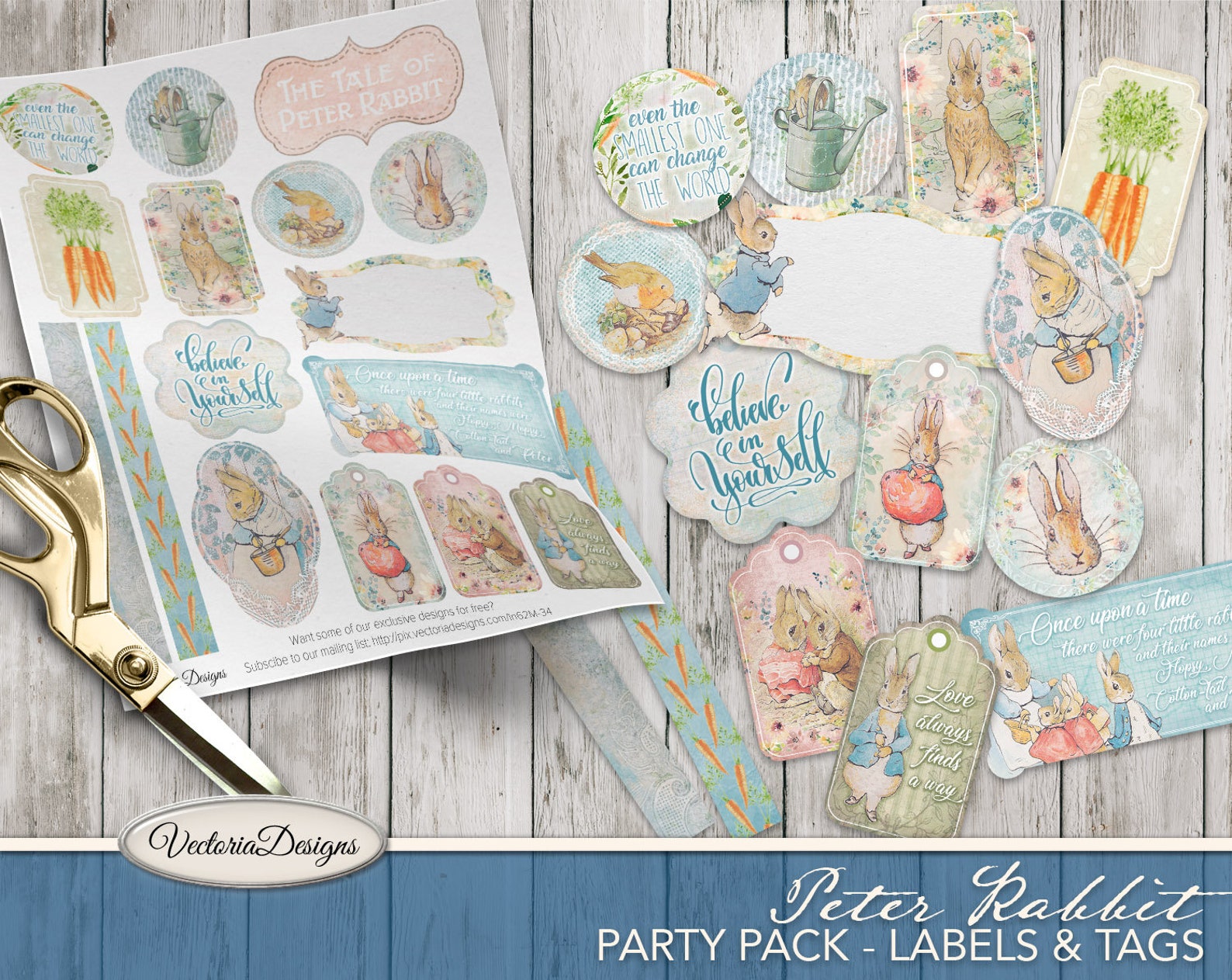 Peter Rabbit Party Pack Paper Pack Baby Shower Beatrix - Etsy