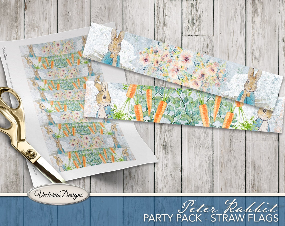Peter Rabbit Party Pack Paper Pack Baby Shower Beatrix - Etsy