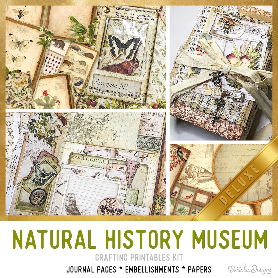 Natural History Museum DELUXE Crafting Printables Kit, Nature Junk ...