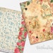 Alice's Roses Paper Pack, Alice Scrapbook Paper, Printable Alice Paper ...