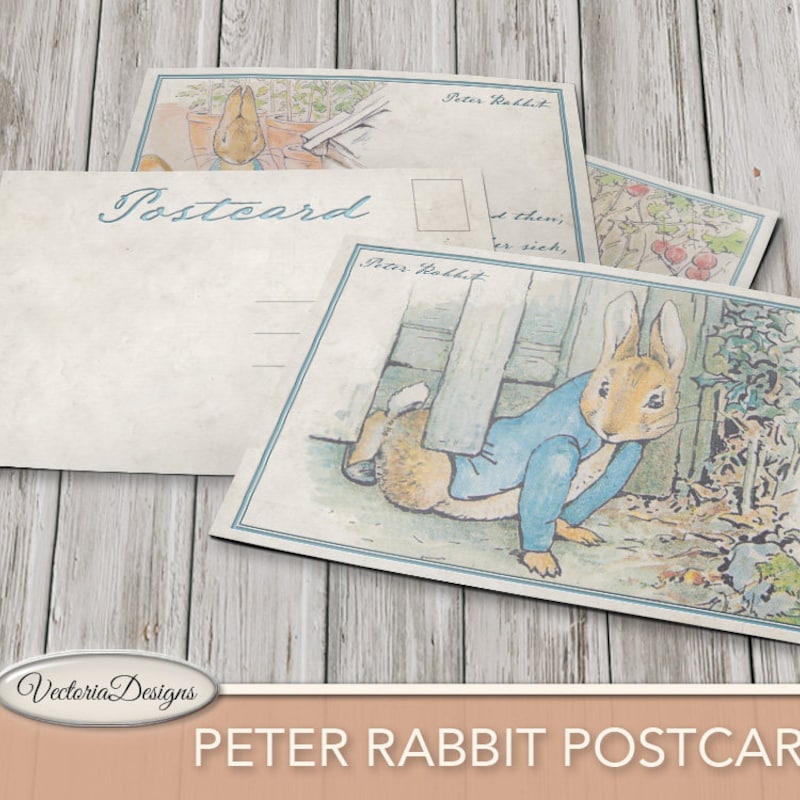 Rabbit Postcard - Etsy