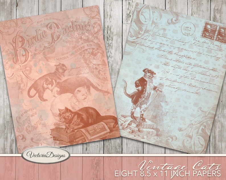 Vintage Cats Paper Pack Printable Paper Pack Digital Cats | Etsy