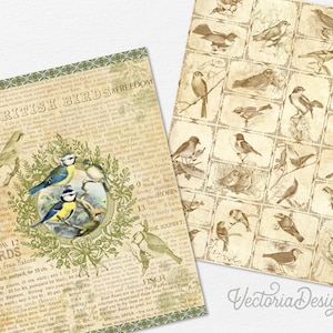 Birds of a Feather Junk Journal Kit, Printable Junk Journal Kit, Birds ...