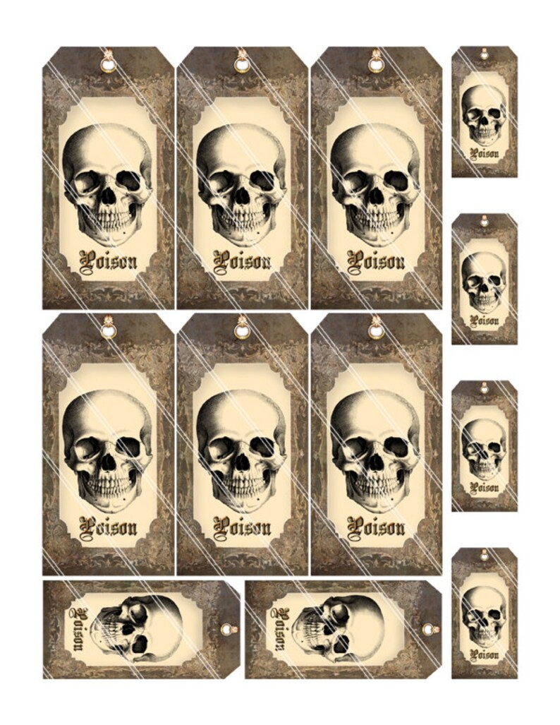 Halloween Labels Skull Labels Halloween Poison Labels - Etsy
