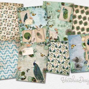 Proud Peacocks Paper Pack, Digital Paper Pack, Scrapbook Paper, Peacock ...