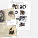 Edgar Allan Poe Mini Project Specimen Album Edgar Allan Poe Booklet ...