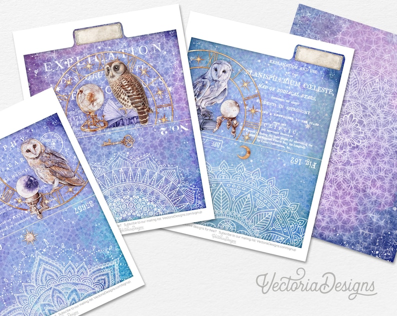 Read the Future File Folders Kit Printable File Folders - Etsy