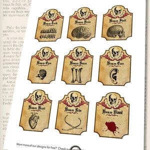 Halloween Bottle Labels Mad Scientist Digital Labels - Etsy