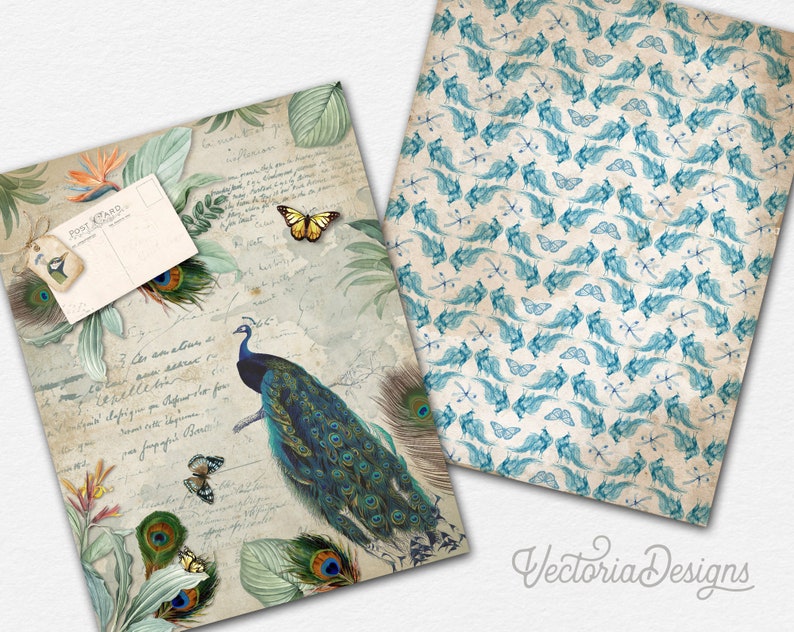 Proud Peacocks Paper Pack Digital Paper Pack Scrapbook - Etsy