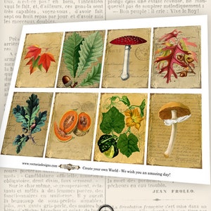 Fall ATC 2.5 X 3.5 Inch Autumn Printable Paper Craft Art Hobby Crafting ...