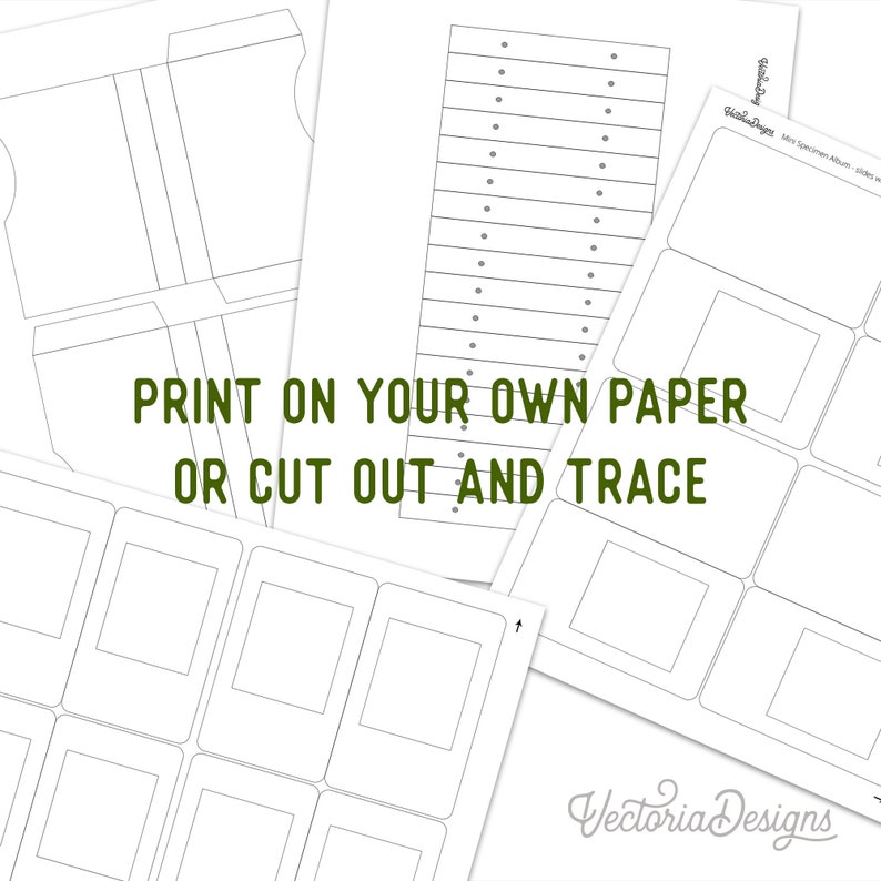 Mini Specimen Album Templates Mini Album Craft Kit Summer Crafts Junk ...
