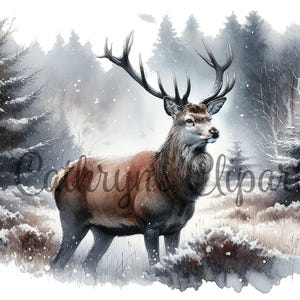 5 Winter Woodland Animals in the Snow PNG With Transparent Background ...