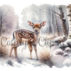 5 Winter Woodland Animals in the Snow PNG With Transparent Background ...