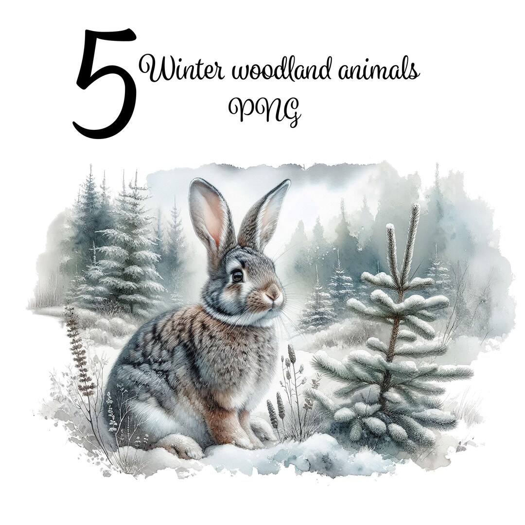 5 Winter Woodland Animals in the Snow PNG With Transparent Background ...