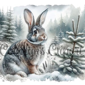 5 Winter Woodland Animals in the Snow PNG With Transparent Background ...