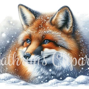 5 Foxes in the Snow PNG Clipart With Transparent Background - Etsy