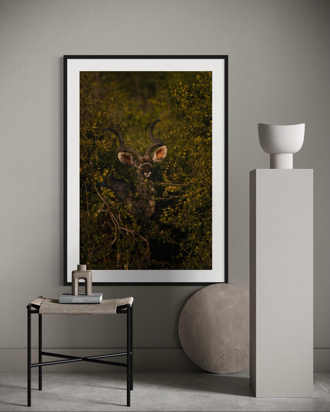 Kudu Wall Art – African Wildlife Photography Print | Fine Art Nature ...