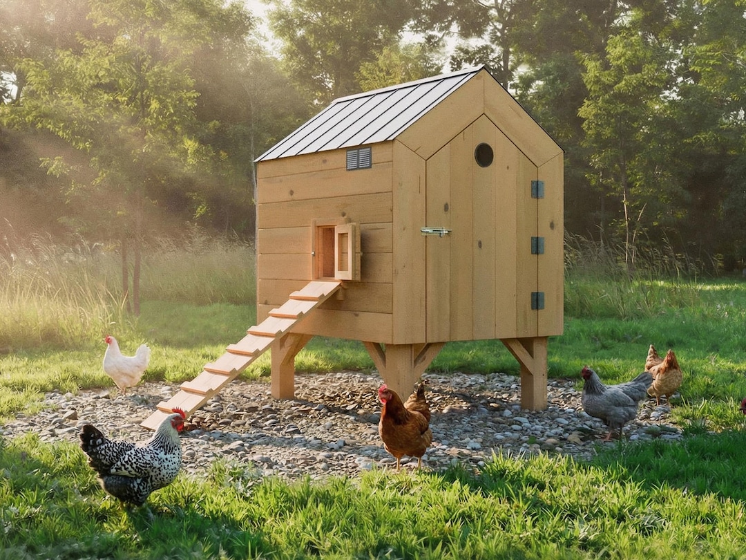 Modern Insulated Chicken Coop Plans: DIY Hen House PDF (6-8 Hens ...