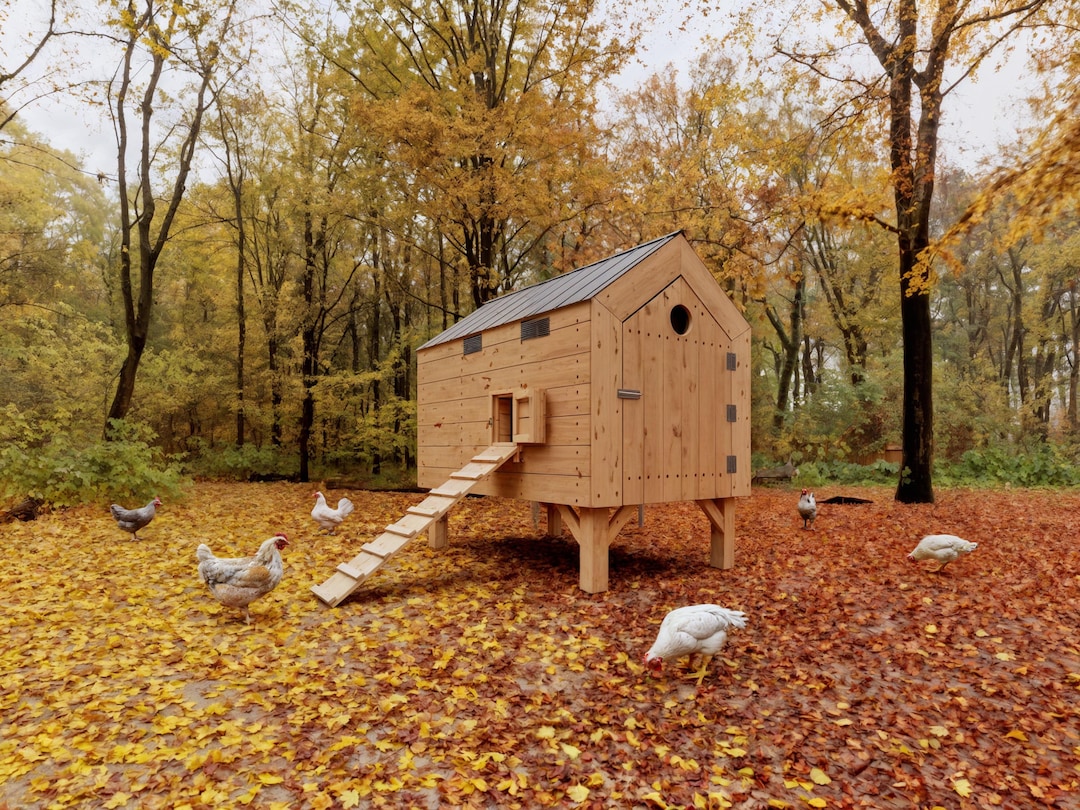 Modern Insulated Chicken Coop Plans: DIY Hen House PDF (10-12 Hens ...