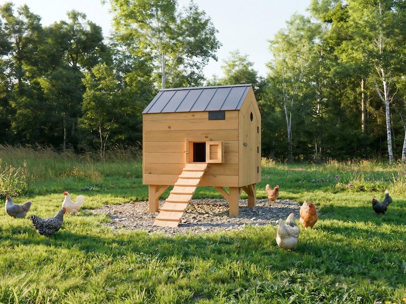 Modern Insulated Chicken Coop Plans: DIY Hen House PDF (6-8 Hens ...