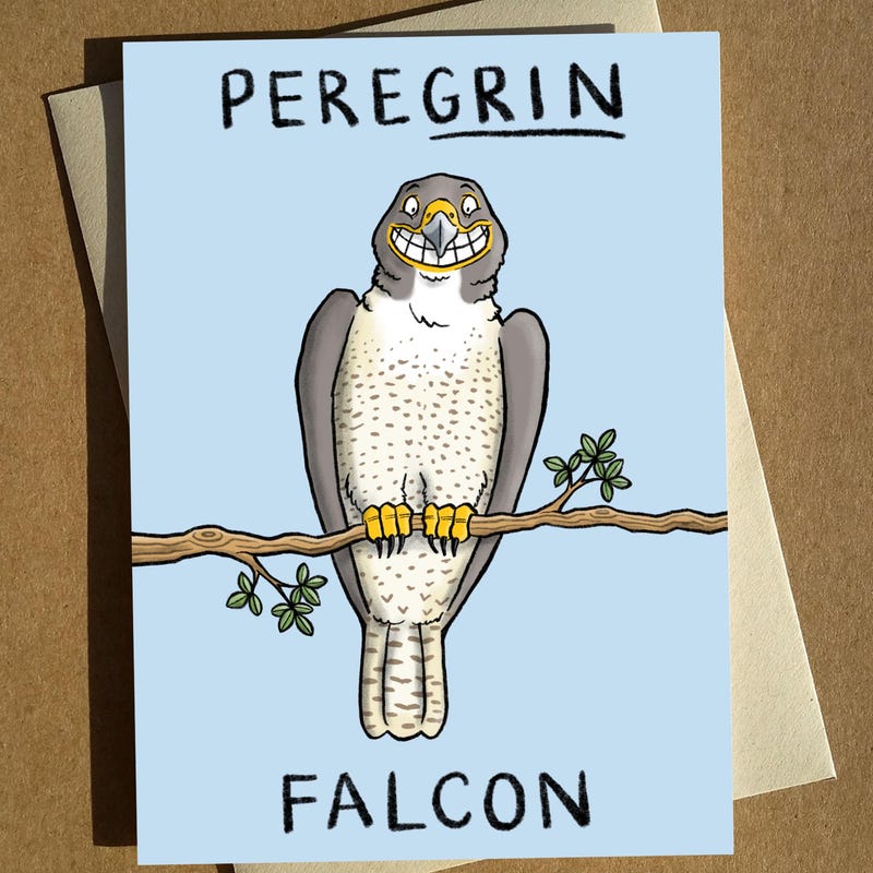 Bird Pun Greeting Cards - Etsy