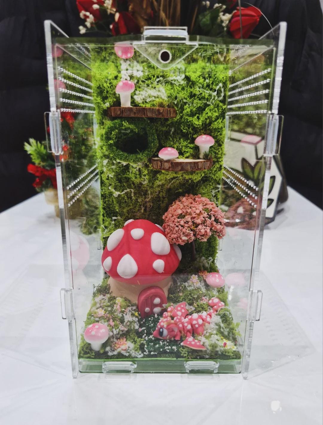 Vivarium Tank Bugs Insect - Etsy UK