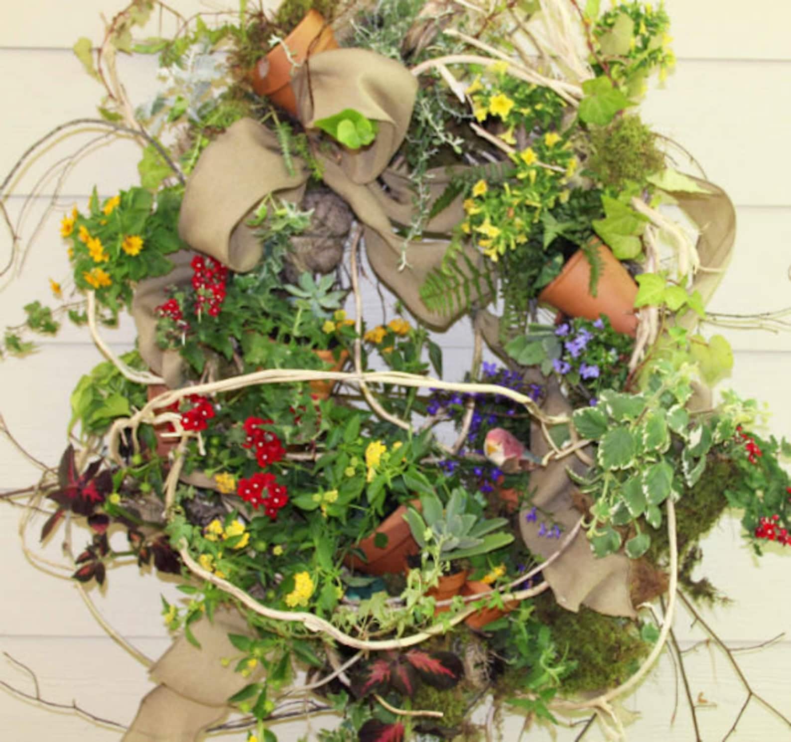 Succulent Living Wreath, Living Succulent Wreath, DIY, How to Make ...